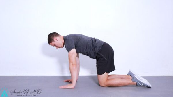 Cervical Muscle ROM Exercise Handouts - ExerciseNow