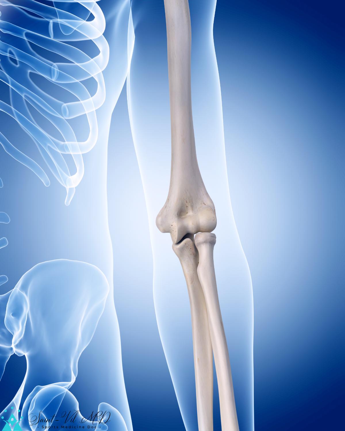 medically accurate illustration of the human skeleton - the elbow ...